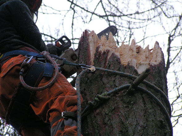 Gno-sis, Coronet Cutting